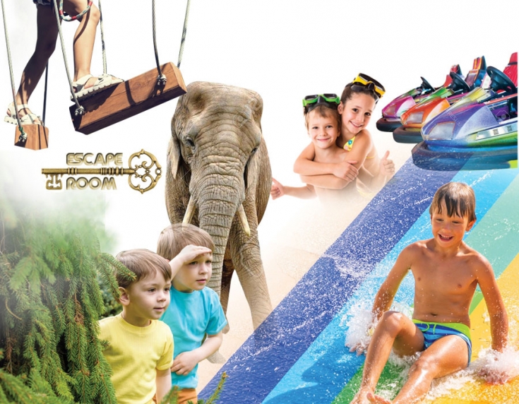 Paradise Park Summer Camp - Επισκέψεις